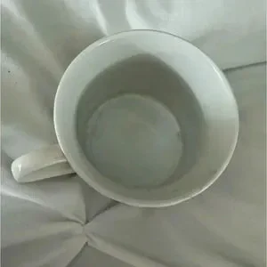Vintage | Dining | Vintage Goose Duck Bird Coffee Mug Cup Checkered ...